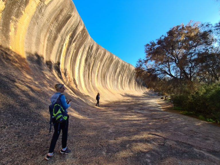 Rebecca Dawson - Igniting a New Humanity AWAKEN YOUR INNATE WISDOM