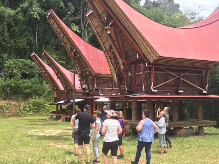 Rebecca Dawson - Igniting a New Humanity AWAKEN YOUR INNATE WISDOM